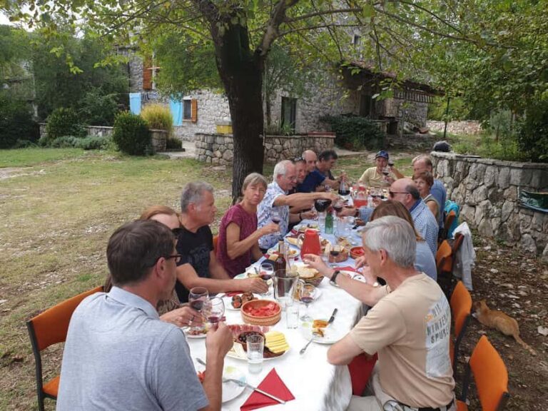 From Kotor: Lake Skadar Wine and Culinary Tour - An In-Depth Look at the Tour Experience