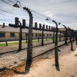 From Krakow: Auschwitz-Birkenau Full-Day Guided Tour - The Sum Up: Who Will Get the Most From This Tour?