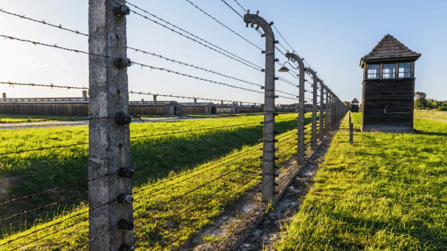 From Krakow: Auschwitz-Birkenau Guided Tour, Several Options - Frequently Asked Questions