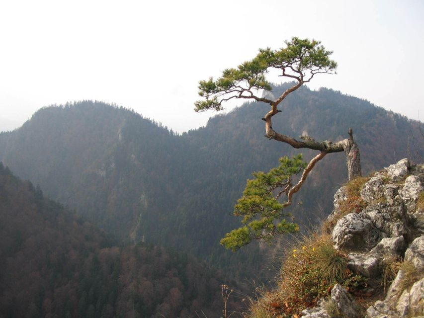 From Krakow: Dunajec Pontoon Rafting Trip - An In-Depth Look at the Dunajec Rafting Experience