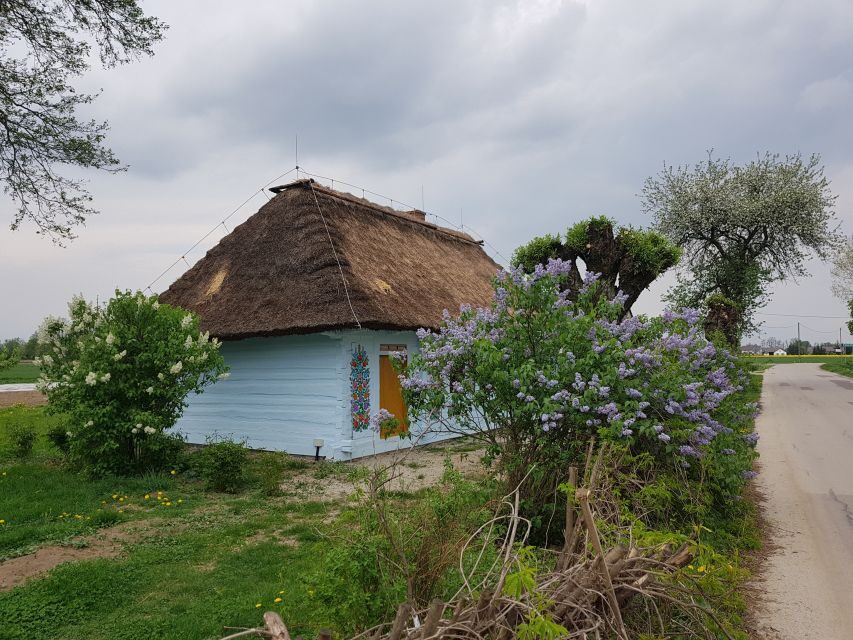 From Krakow: Guided Tour of Zalipie - The Transportation & Guide Experience