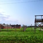 From Krakow: Last Minute Auschwitz-Birkenau Guided Tour - Authentic Reviews: What Visitors Say