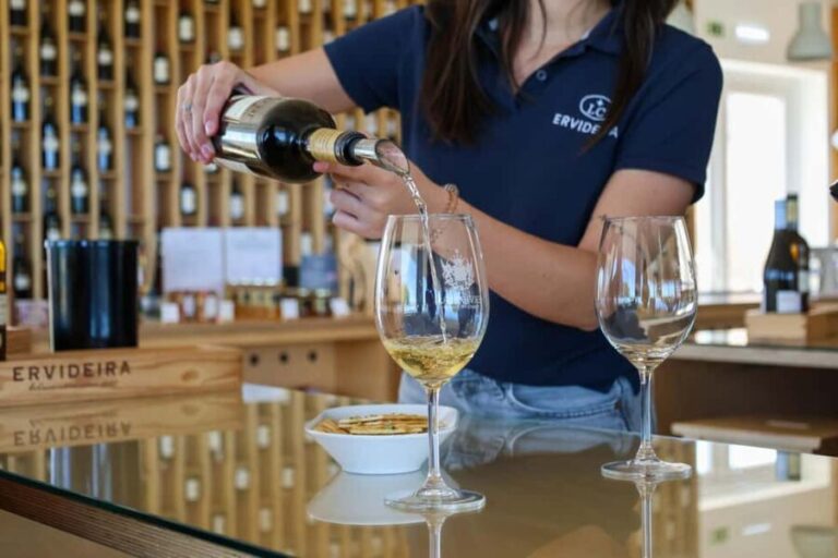From Lisbon: Évora, Chapel of Bones & Alentejo Wine Tour - Itinerary Breakdown