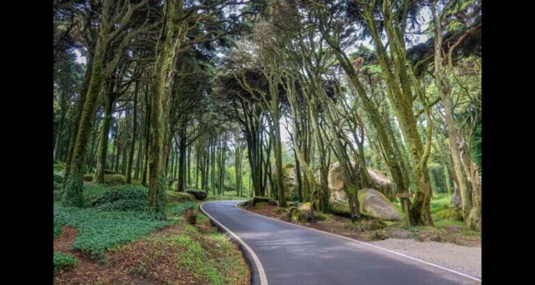 From Lisbon: Pena, Regaleira, Peninha, Adraga & Coastline - What You Get and What You Don’t