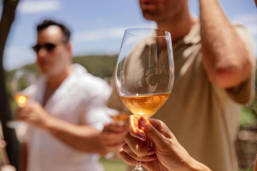 From Lisbon: Private Horseback Riding and Wine Tasting Tour - Encountering farm life and the countryside’s tranquility