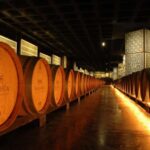 From Lisbon: Serra da Arrábida, Sesimbra, and Setúbal Wines - Transportation, Timing, and Group Dynamics