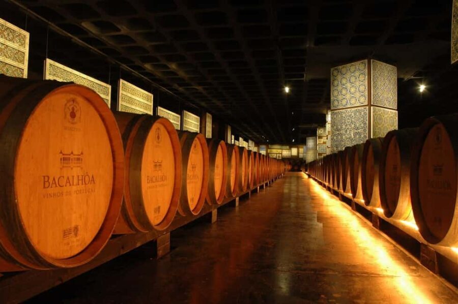 From Lisbon: Serra da Arrábida, Sesimbra, and Setúbal Wines - Transportation, Timing, and Group Dynamics