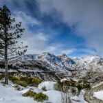 From Lisbon: Serra da Estrela Day Trip with Guide - Practicalities and Value