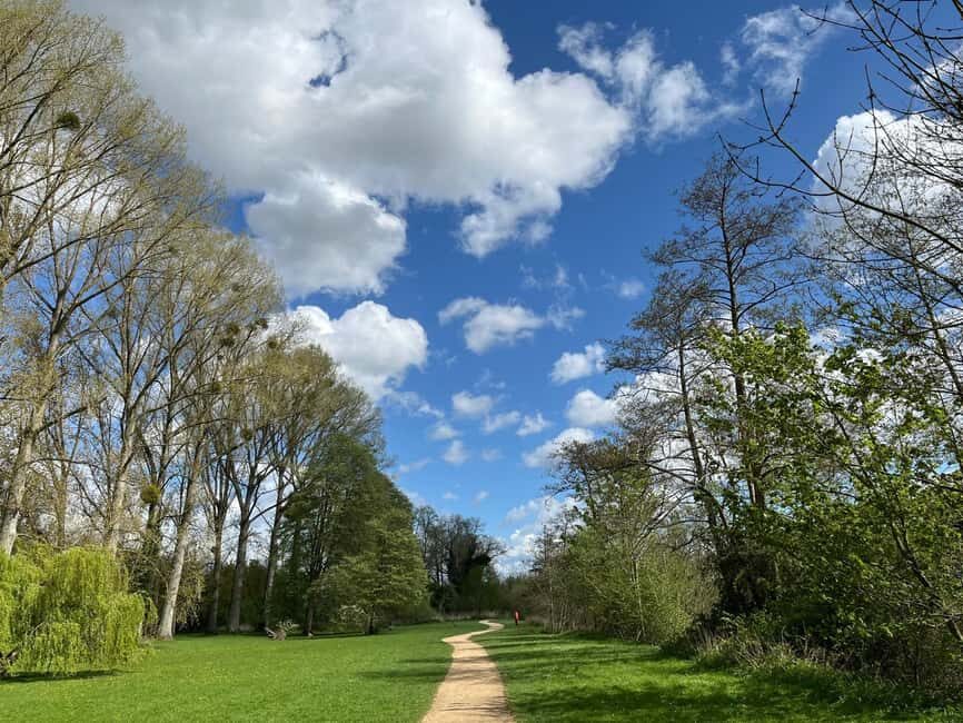 From London: Private Guided Walking & Fine Dining Tour - Transportation and Logistics