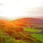 From London: Small Group Cotswolds Villages Tour - Authentic Insights from Reviews