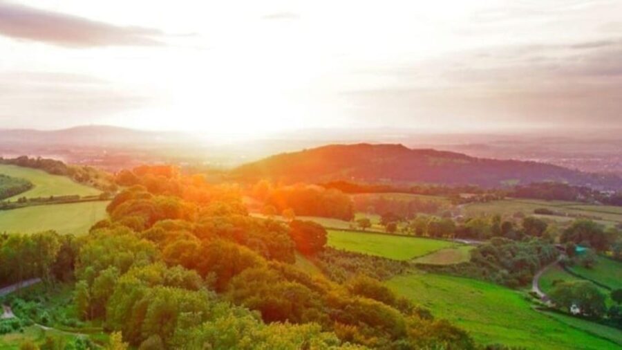 From London: Small Group Cotswolds Villages Tour - Authentic Insights from Reviews