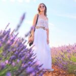 From Madrid: Day Trip to Brihuega Lavender Fields - Who Will Love This Tour?