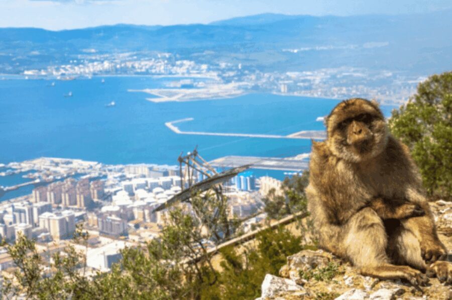 From Marbella: Gibraltar Private Day Trip with Local Guide - Exploring Gibraltar: The Guided Tour