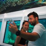 From Marmaris: Day Trip by Glass Bottom Semi Submarine - A Detailed Look at What You Can Expect