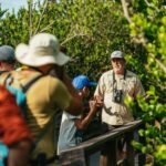 From Miami: Everglades Airboat Ride and Nature Walk - The Value Proposition