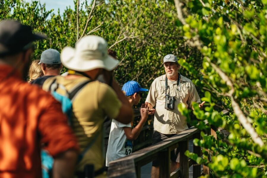 From Miami: Everglades Airboat Ride and Nature Walk - The Value Proposition
