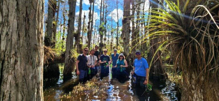 From Miami: Everglades Tour w/ Wet Walk, Boat Trips, & Lunch - Who Is This Tour Best For?