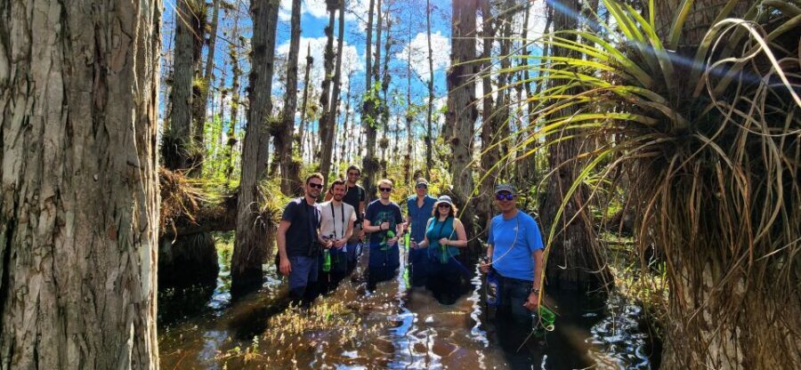 From Miami: Everglades Tour w/ Wet Walk, Boat Trips, & Lunch - Who Is This Tour Best For?