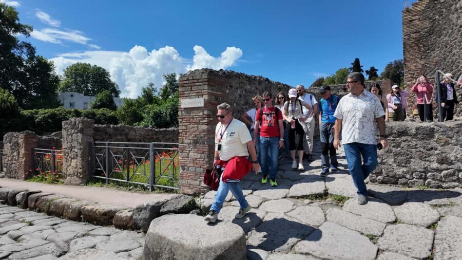 From Naples Port: Pompeii Guided Walking tour or Audioguide - A Clear Choice for a Hassle-Free Experience