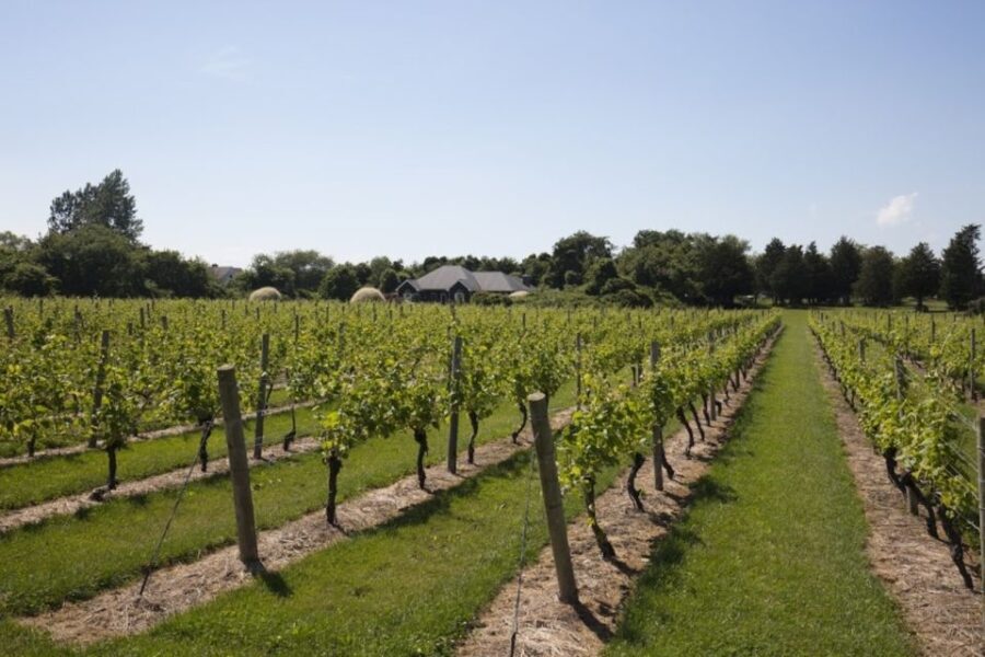 From NYC: Hamptons, Sag Harbor, and Outlet Shopping Day Trip - Practical Details and What You Should Know