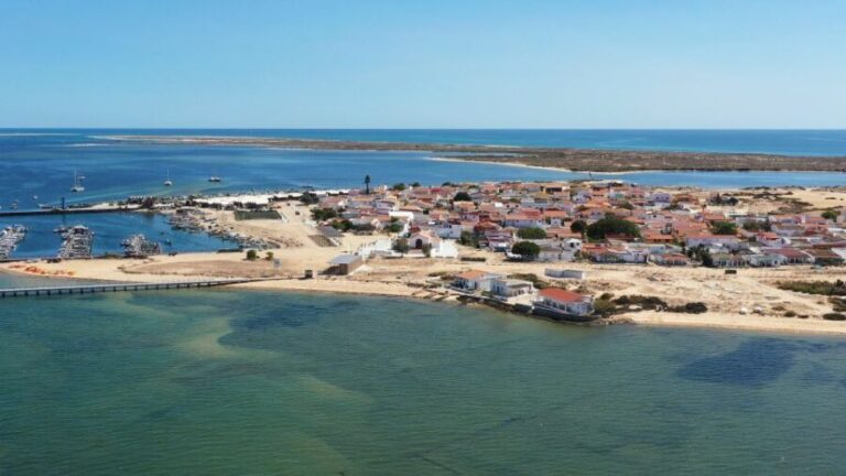 From Olhão: Ria Formosa 3-Island Full-Day Tour - Why This Tour Works for You