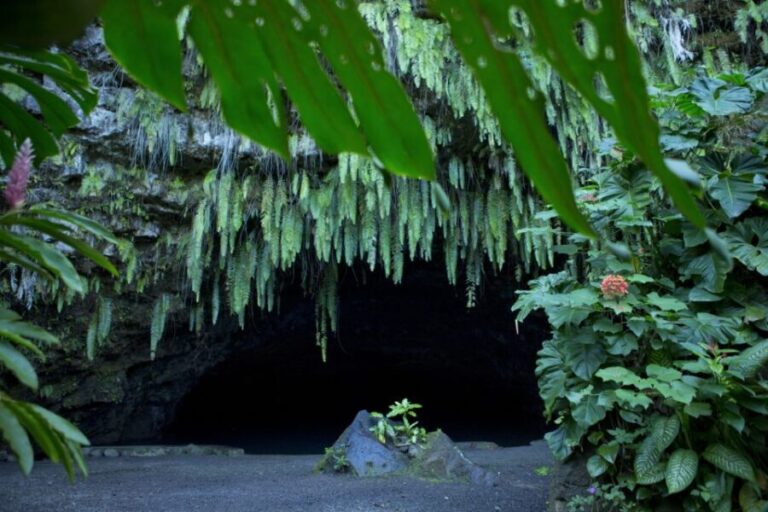 From Papeete: Tahiti Highlights Full-Day Private Tour - What Makes This Tour Stand Out?