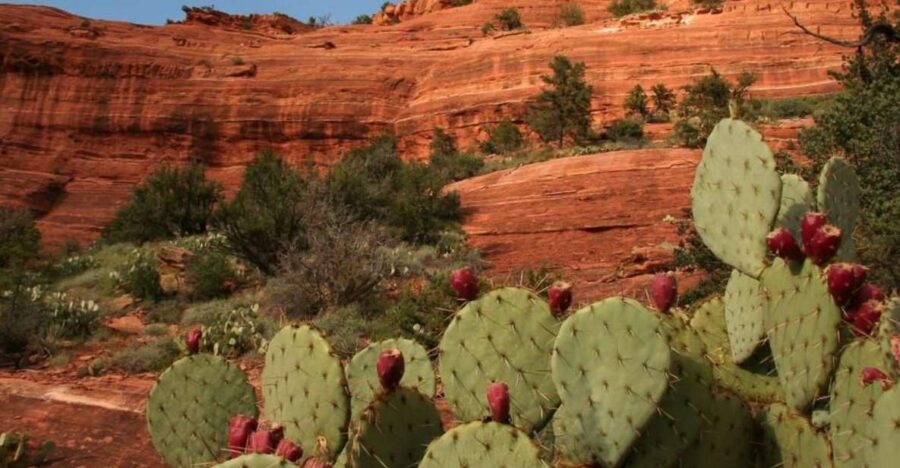 From Phoenix: Full-Day Sedona Small-Group Tour - Native American Heritage and Ruins