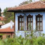 From Plovdiv to Sofia: Koprivshtitsa half-day tour - Who Will Love This Tour?