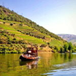 From Porto: 2 Wine Regions, Farm Lunch, and Boat Ride - Why This Tour Offers Good Value