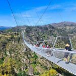 From Porto: Aveiro, Paiva Walkways, & Suspension Bridge Tour - What Makes This Tour Stand Out