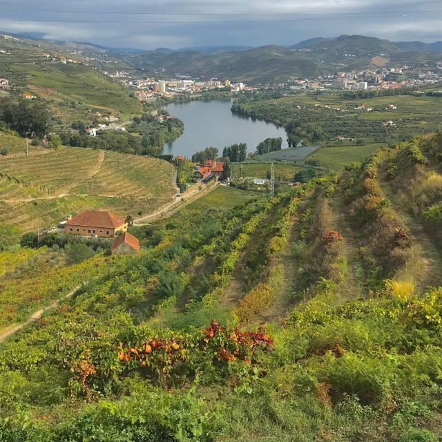 From Porto: luxury tour with full lunch at Quinta da Pacheca - The Perfect Gourmet Lunch at Quinta da Pacheca