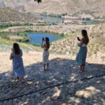 From Porto Private Wine Tour with 2 Tastings, Boat and Lunch - Transportation, Duration, and Group Size