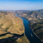 From Porto: Wine Tasting with Lunch at a Farm and Cruise - Exploring the Douro Valley: A Step-by-Step Look at the Tour