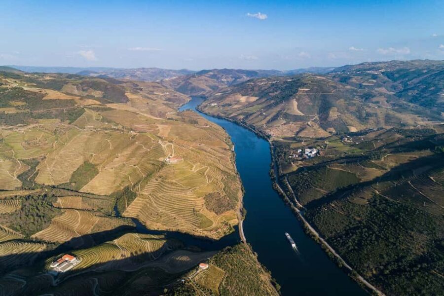 From Porto: Wine Tasting with Lunch at a Farm and Cruise - Exploring the Douro Valley: A Step-by-Step Look at the Tour