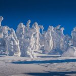 From Prague: Guided Snowshoe Tour with Mountain Views - The Experience in Detail