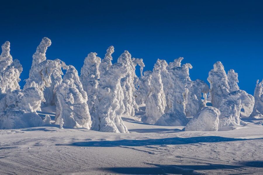 From Prague: Guided Snowshoe Tour with Mountain Views - The Experience in Detail