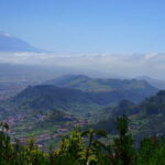 From Puerto de La Cruz: VIP Tour Around Anaga and La Laguna - Key Points