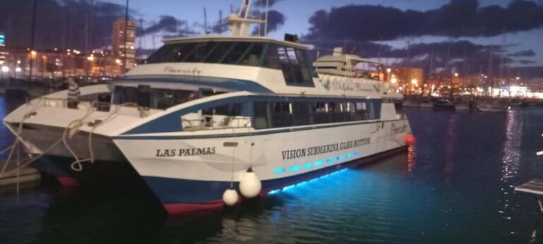 From Puerto Rico: Boat party along the coast. - What to Expect During the Tour