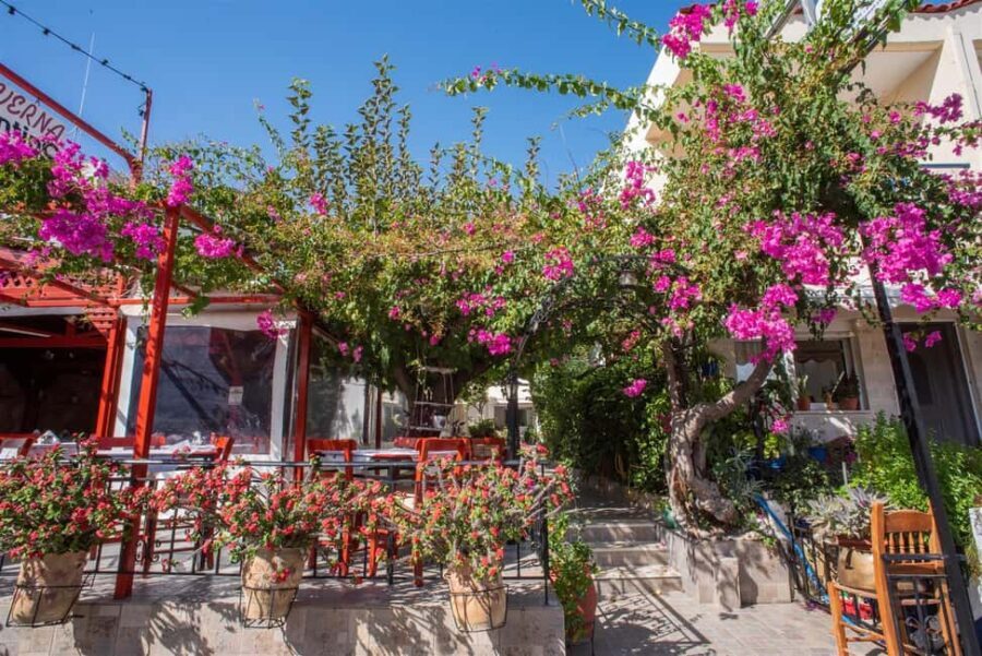 From Rethymno: Argyroupoli, Lake Kournas, Georgioupoli Tour - Practical Details and Our Take on Value