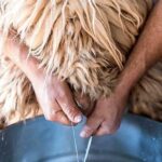 From Rethymno: Arkadi, Margarites, Sfendoni Cave, and Axos - Pottery in Margarites: Craftsmanship and Hands-On Fun