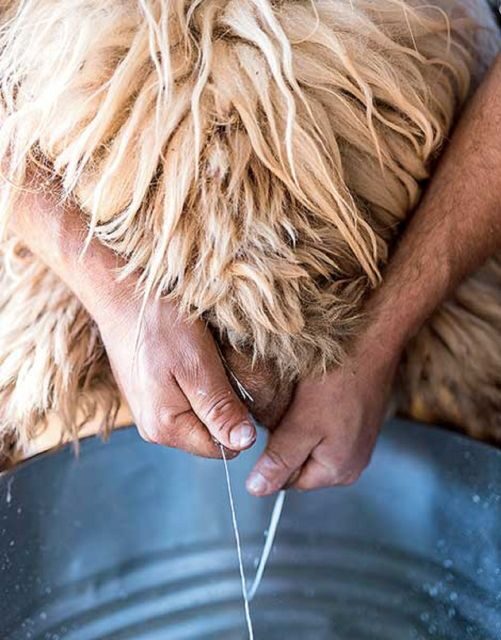 From Rethymno: Arkadi, Margarites, Sfendoni Cave, and Axos - Pottery in Margarites: Craftsmanship and Hands-On Fun