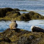From Reykjavik: Snaefellsnes - Small Group, Lunch Included - Why This Tour Stands Out