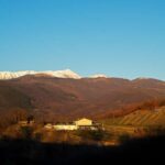 From Rome: Cantina Le Macchie Winery Tour and Tasting - Is This Tour Worth It?