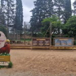 From Salou: Park Samá with 1 vermouth tasting, hotel Pickup - A Closer Look at the Parc Samá Experience