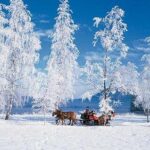 From Salzburg: 8 hour Horse-Drawn incl. 2-hour Carriage Ride - Value and Practicality