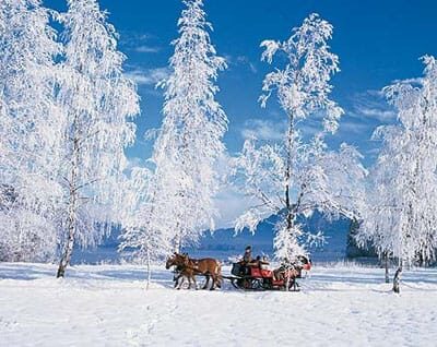 From Salzburg: 8 hour Horse-Drawn incl. 2-hour Carriage Ride - Value and Practicality