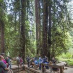 From San Francisco: Muir Woods, Sausalito and Alcatraz Tour - What Makes This Tour Stand Out