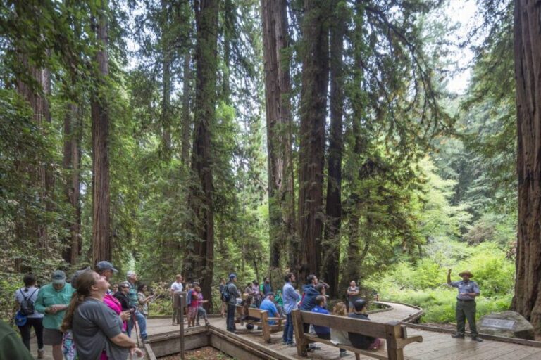 From San Francisco: Muir Woods, Sausalito and Alcatraz Tour - What Makes This Tour Stand Out