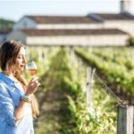 From San Francisco: Muir Woods Wine Tour with Napa & Sonoma - The Itinerary in Detail