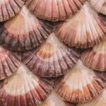 From Santiago: Rías Baixas Tour with boat trip and winery - An In-Depth Look at the Rías Baixas Tour